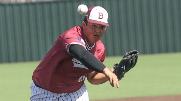 Lions stymie Stephenville, 4-2, to split district baseball series ...