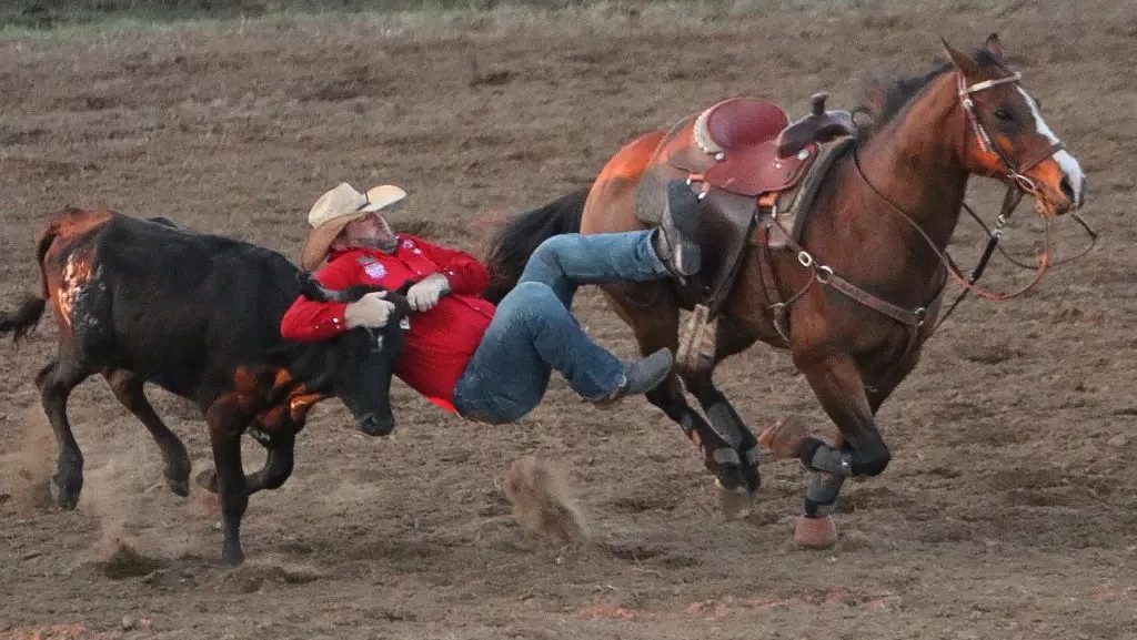 61st Annual Brown County Rodeo begins tonight | Brownwood News