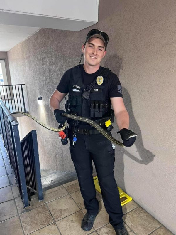 Police aren't 'hiss-itant' to respond | WAMB Radio