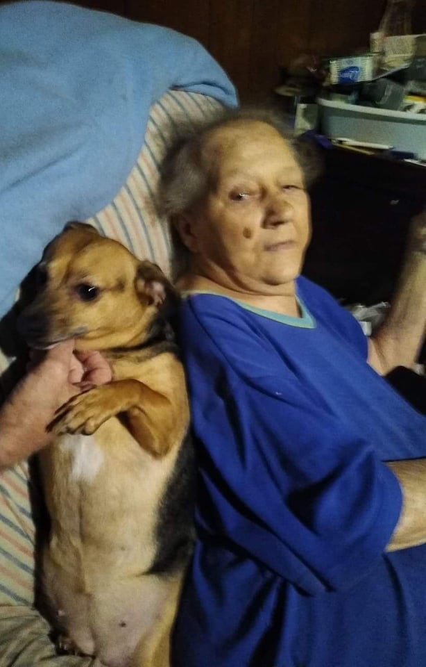 Edna R. Cook | WCLU Radio