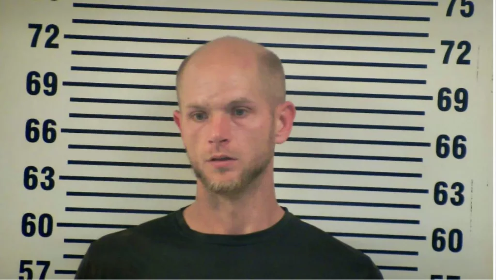 Domestic Assault Incident Leads to Arrest on Rooftop in Scottsville ...
