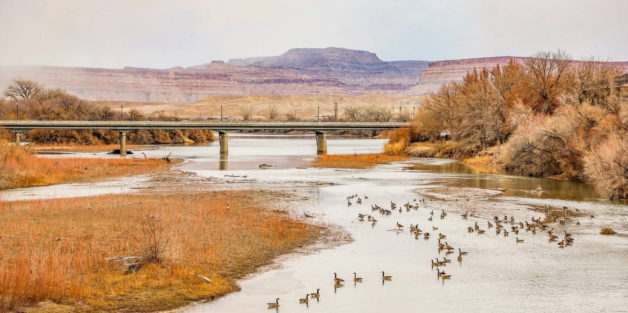 Green River nuclear project revived with shift to small modular ...