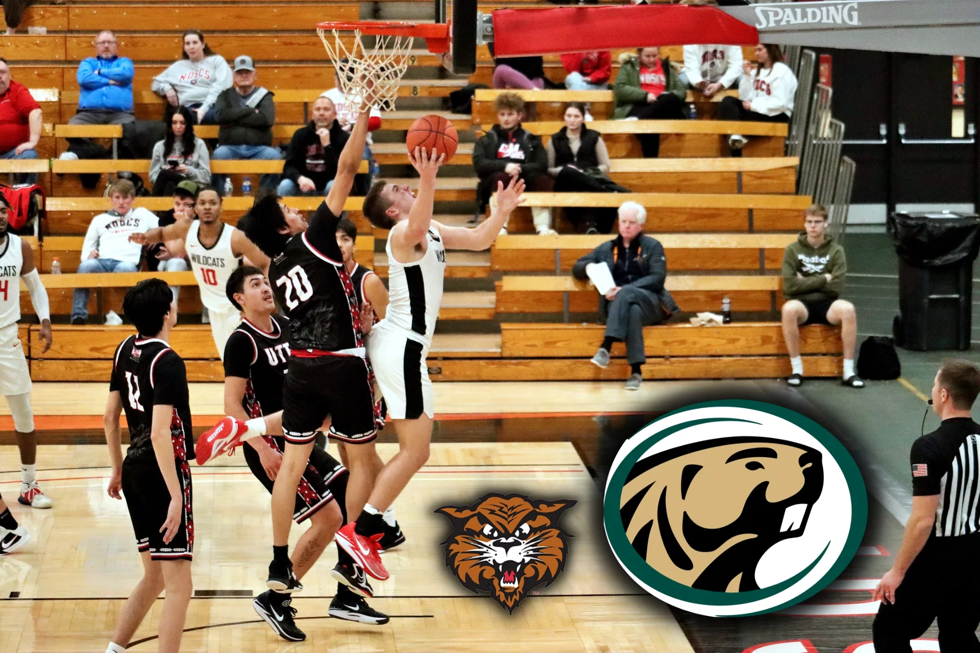 Larson lands at Bemidji State, stays close to home | KBMWNews