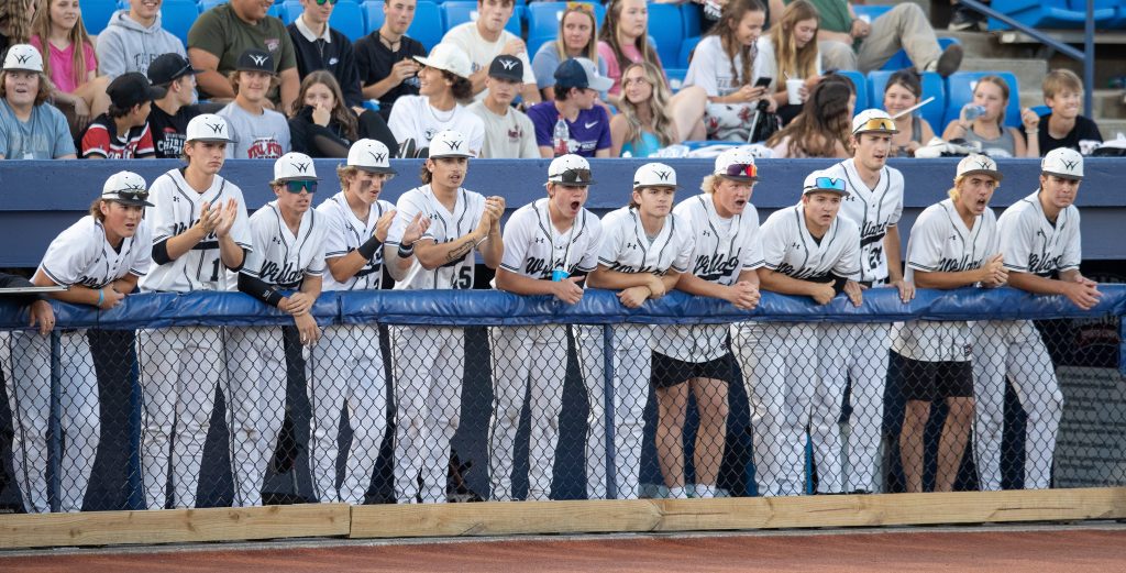 2025 Spring Preview: Willard Baseball | Ozarks Sports Zone - Part 3