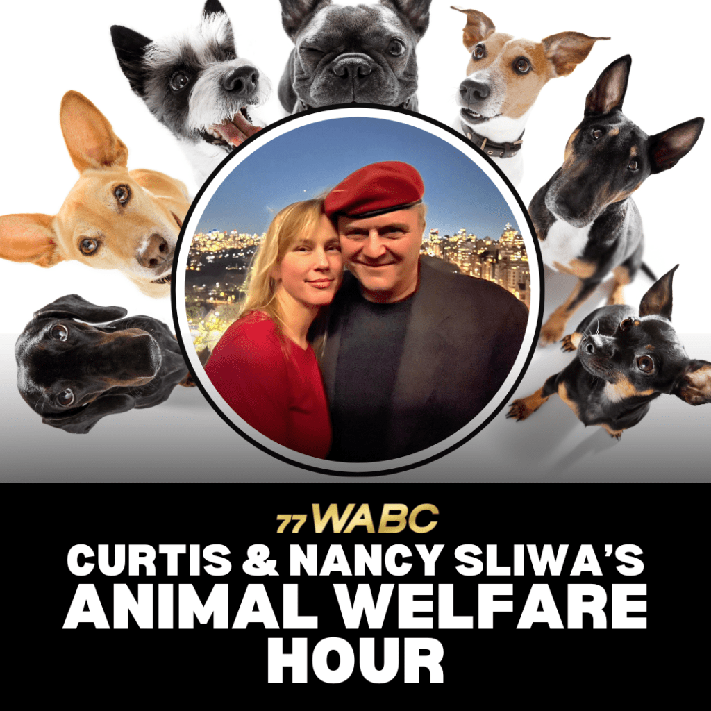 Curtis and Nancy Sliwa's Animal Welfare Hour | 08-11-24 – 77 WABC