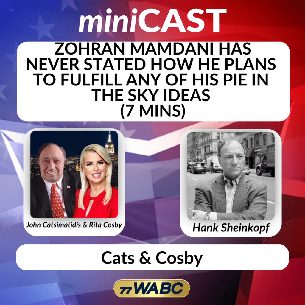 Hank Sheinkopf: Zohran Mamdani has Never Stated How He Plans to Fulfill ...