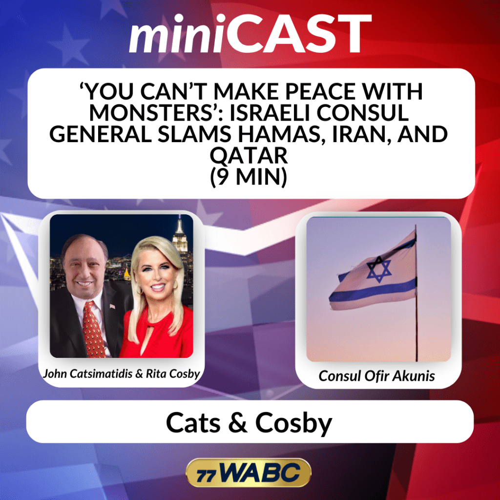 Consul Ofir Akunis – ‘You Can’t Make Peace With Monsters’: Israeli Consul General Slams Hamas ...