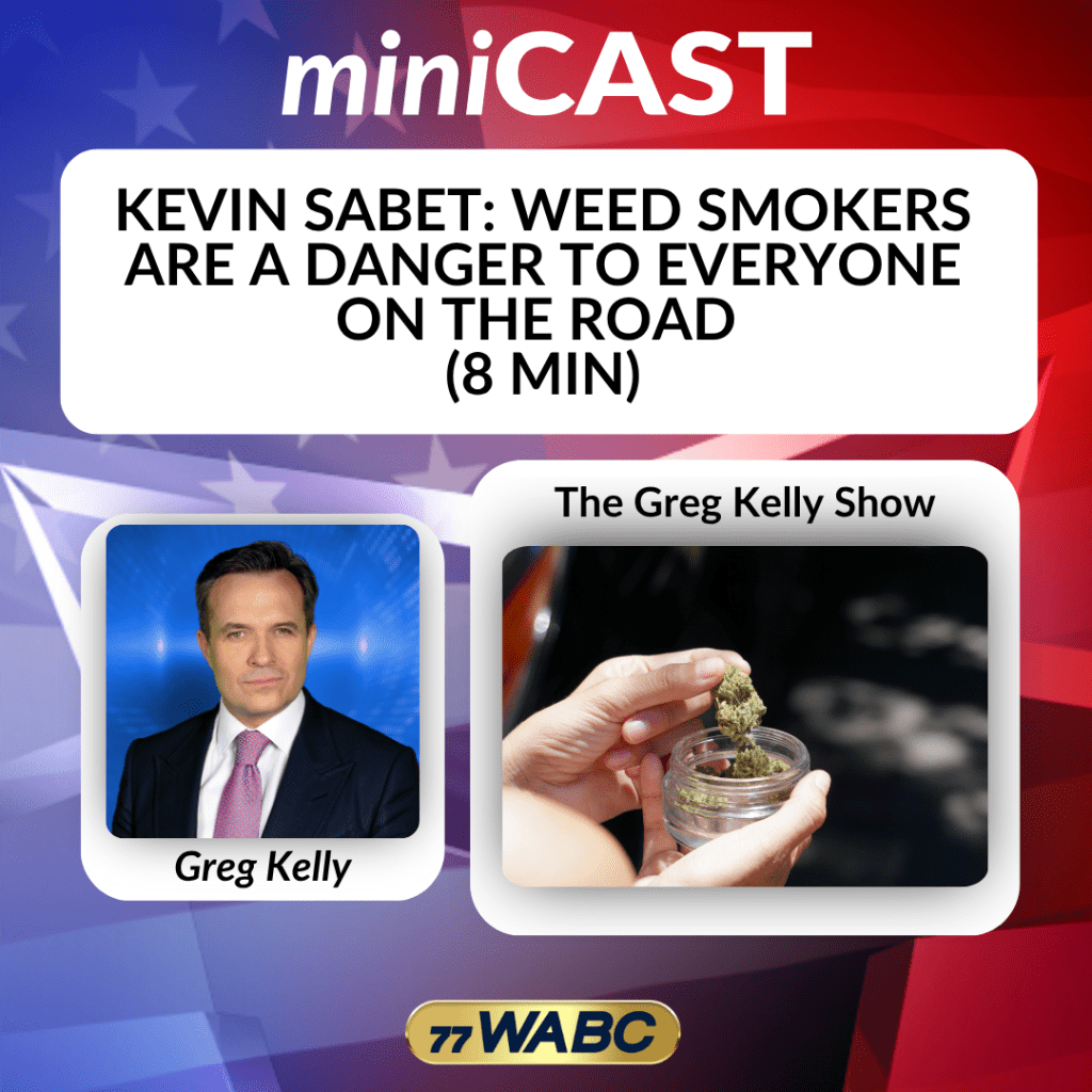 Kevin Sabet: Weed Smokers Are A Danger To Everyone On The Road (8 Min ...