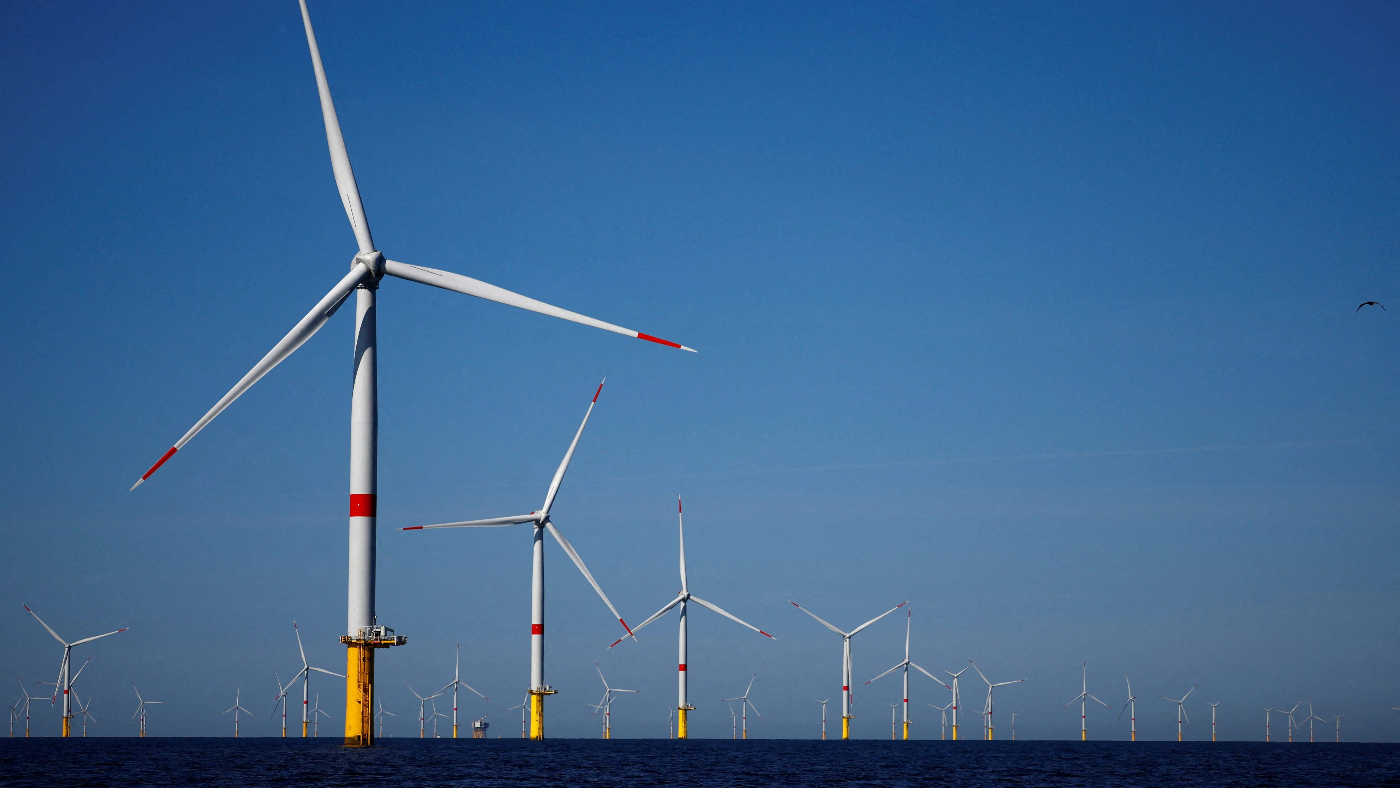 Off Shore Wind Farms; An In-Depth Look | 77 WABC