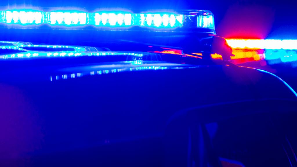 Brooklyn Gunman Shoots Father and Son – Then Gets Beaten With a ...