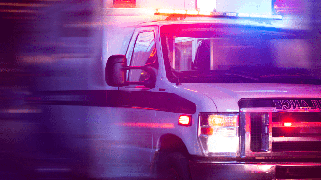 ELDERLY WOMAN STABBED TO DEATH INSIDE BROOKLYN APARTMENT BUILDING | 77 WABC