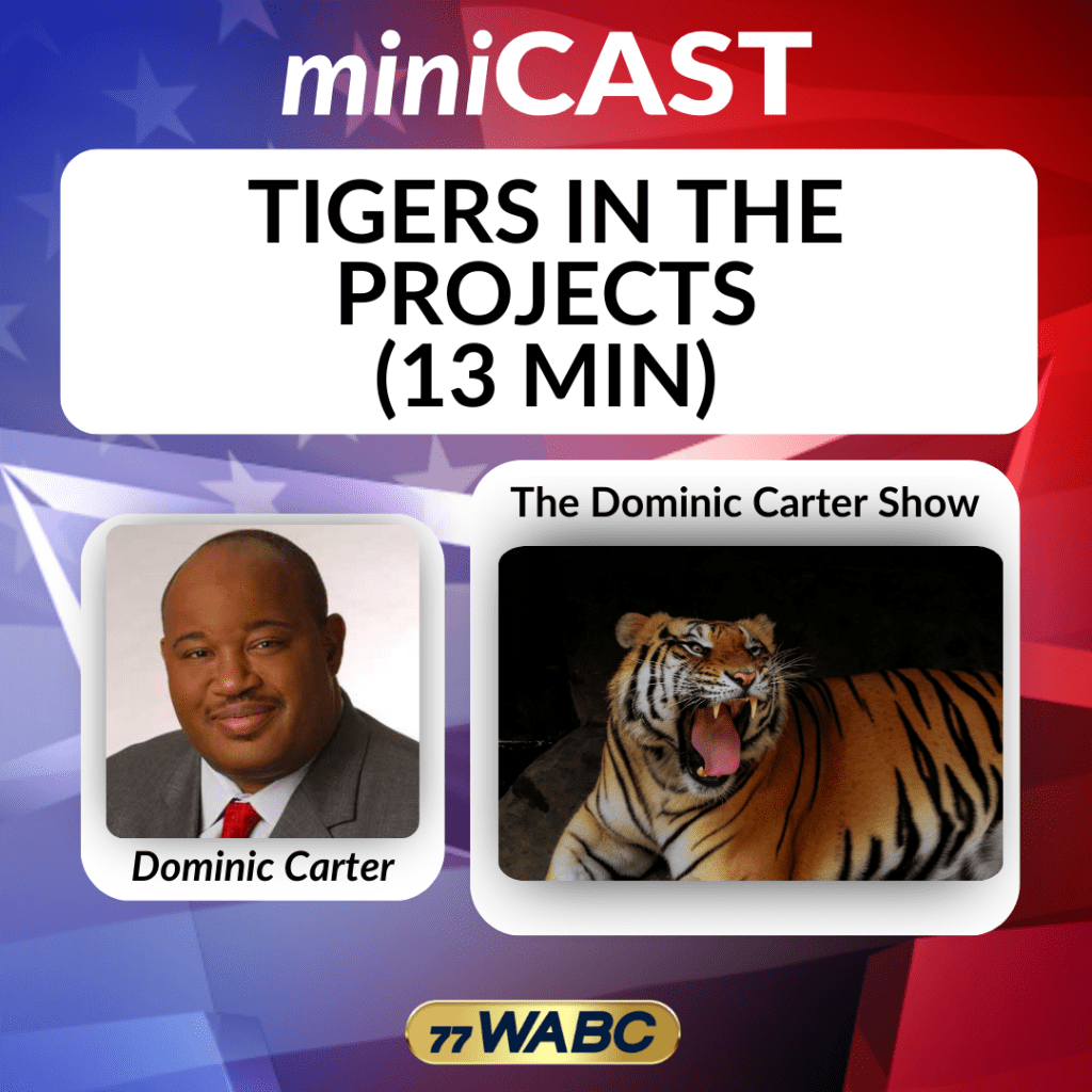 Dominic Carter: Tigers in the Projects (13 min) – 77 WABC