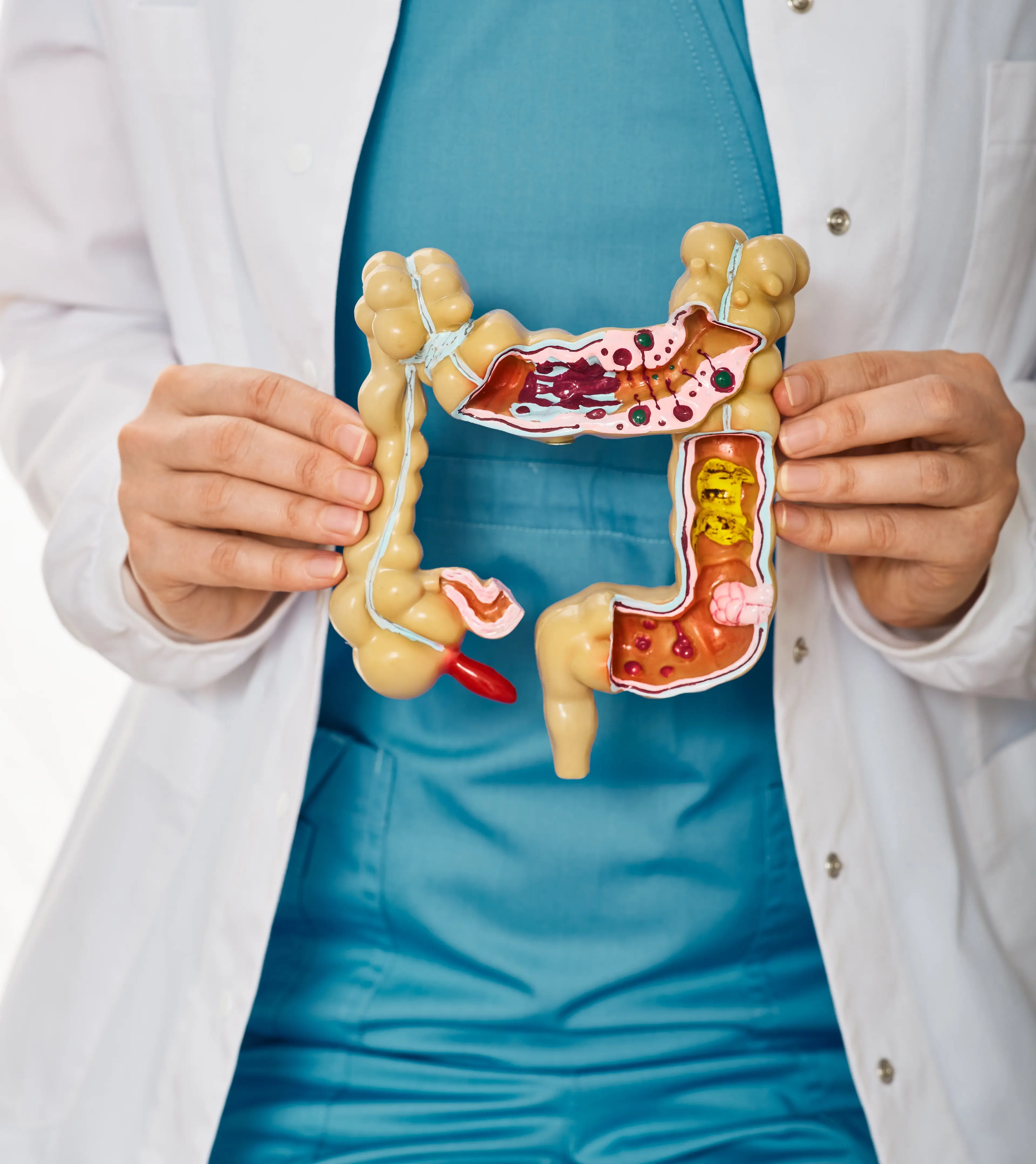 Scientists Identify how Gut Microbiome Influences Liver Function | 77 WABC
