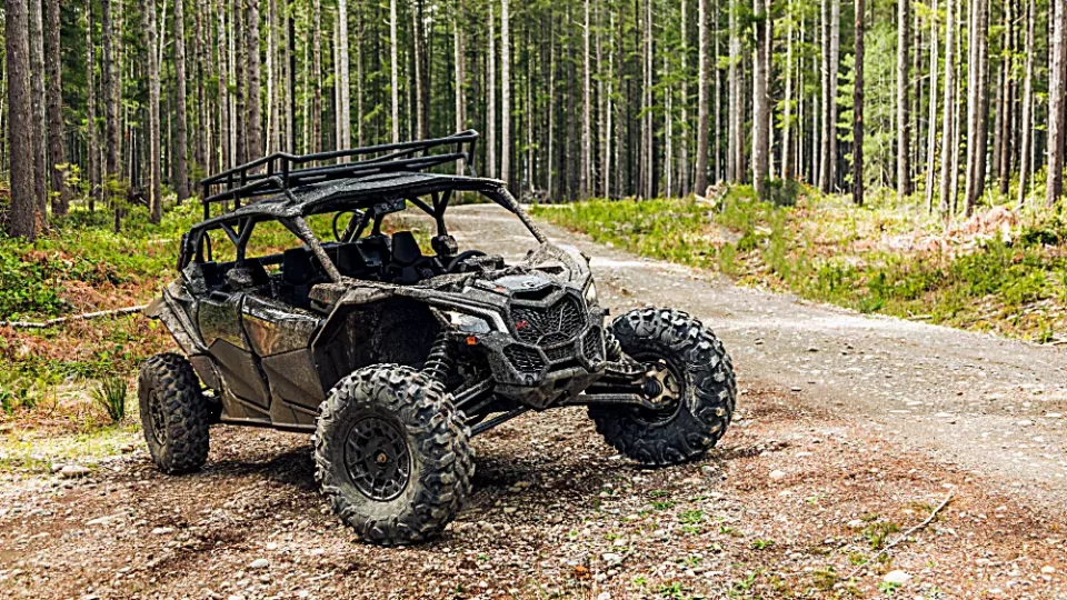 Sesser Police to Crack Down on Unregistered Golf Carts, UTVs after Rend ...