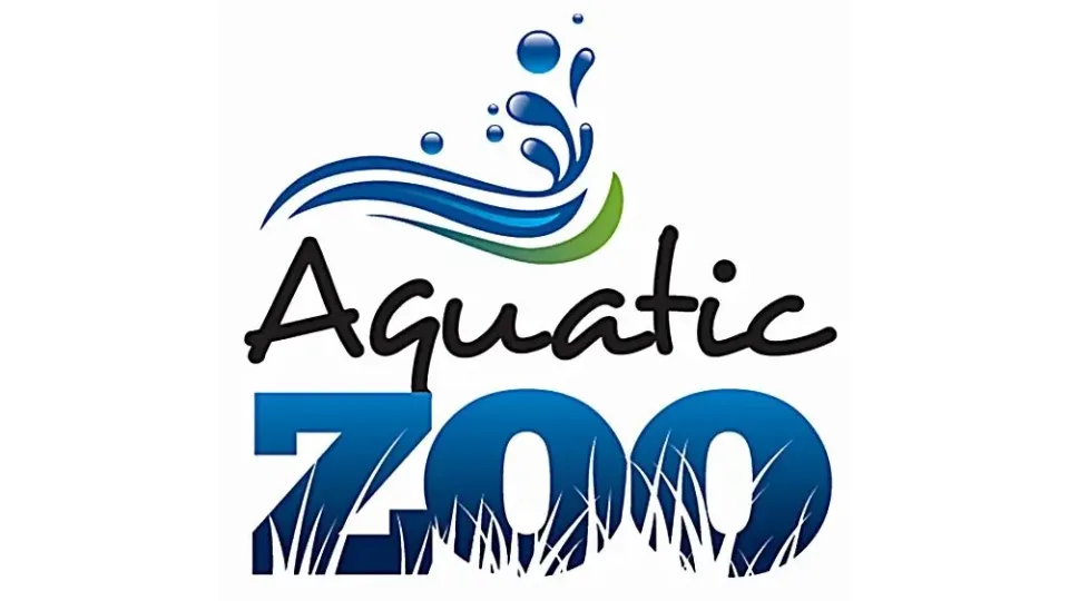 Aquatic Zoo Announces Update Regarding Night Swim Events | WMCL