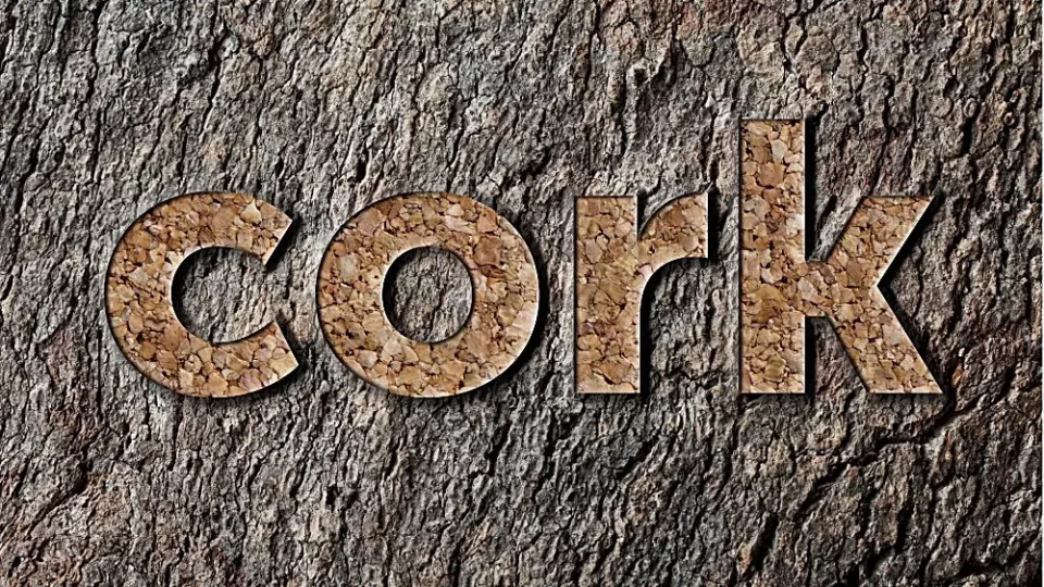 Why Cork Matters: The Sustainable Choice for a Greener Future | WDDD-FM