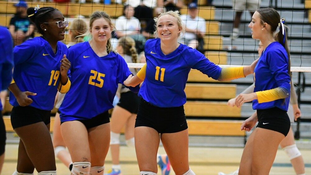 Wiffle Ball Tournament Honors Jake Hodge, Animal Shelter Hosts Kids ...