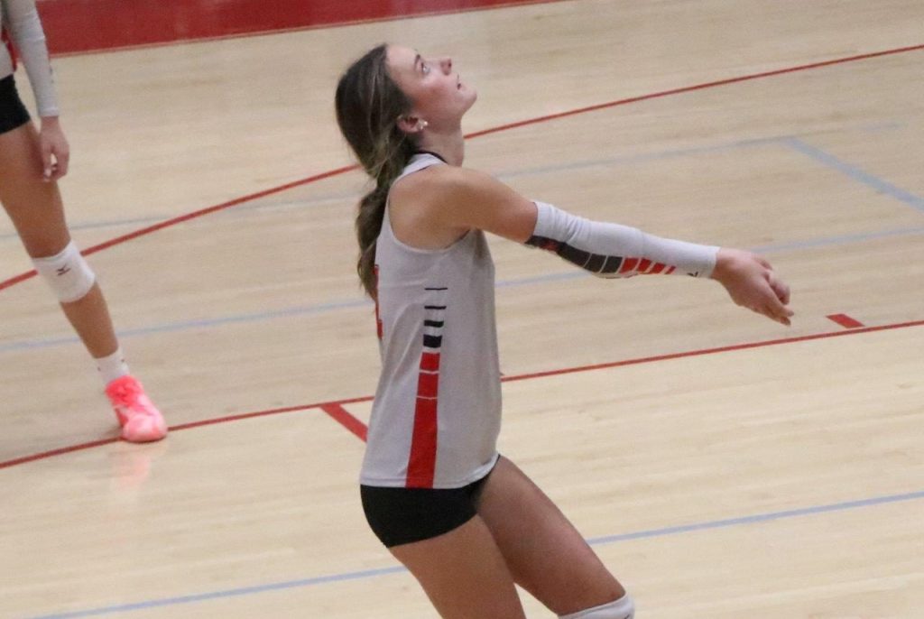 PHOTOS – Todd County Central vs Monroe County in 4th Region All A ...