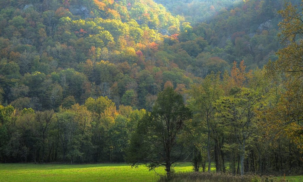 Arkansas emerges as top destination for movers in 2025 | White River ...