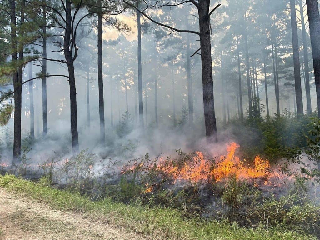 AGFC opens second round of Conservation Incentive Program | White River ...