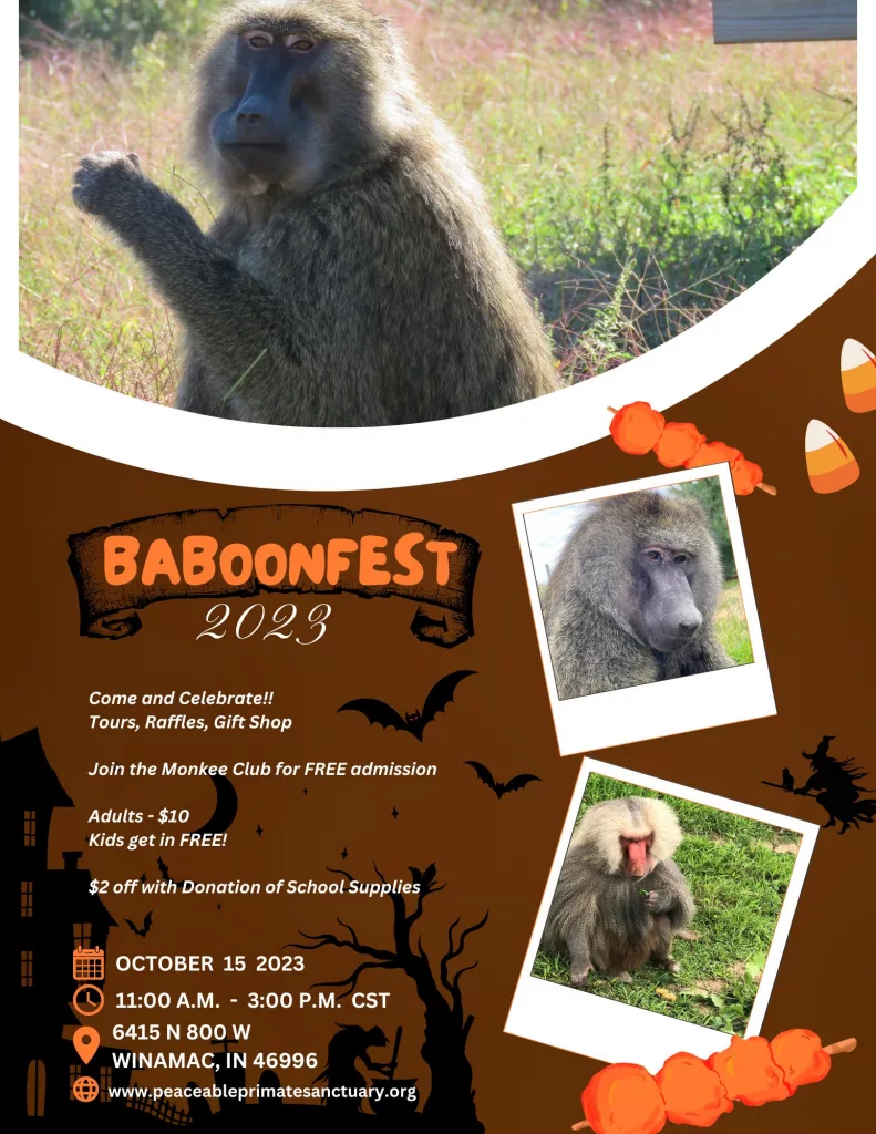 Baboon Fest 2023 | Classic Hit Memories WAMW 107.9FM