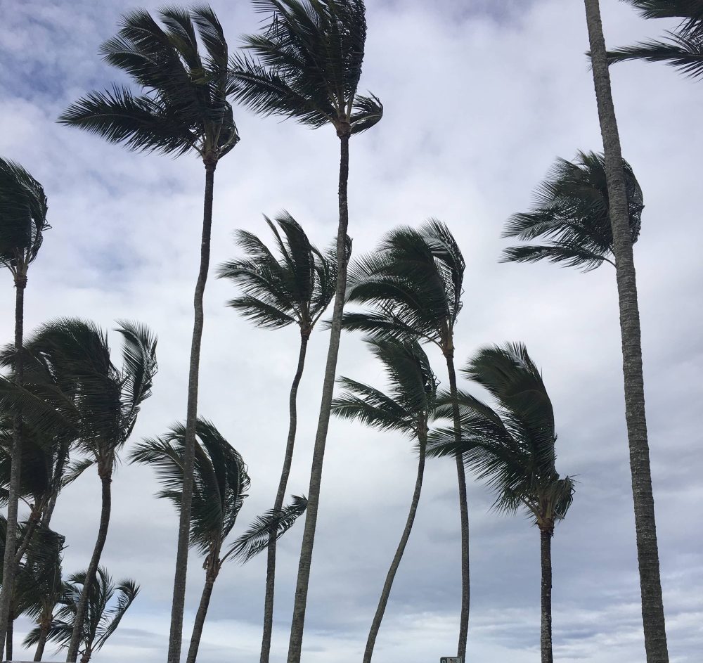 Wind Advisory in Effect for Portions of Hawaiʻi Island | B93 | B97