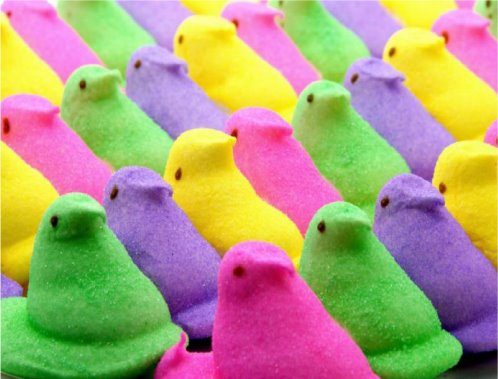 Get Paid To Eat Peeps! | Star 92.9