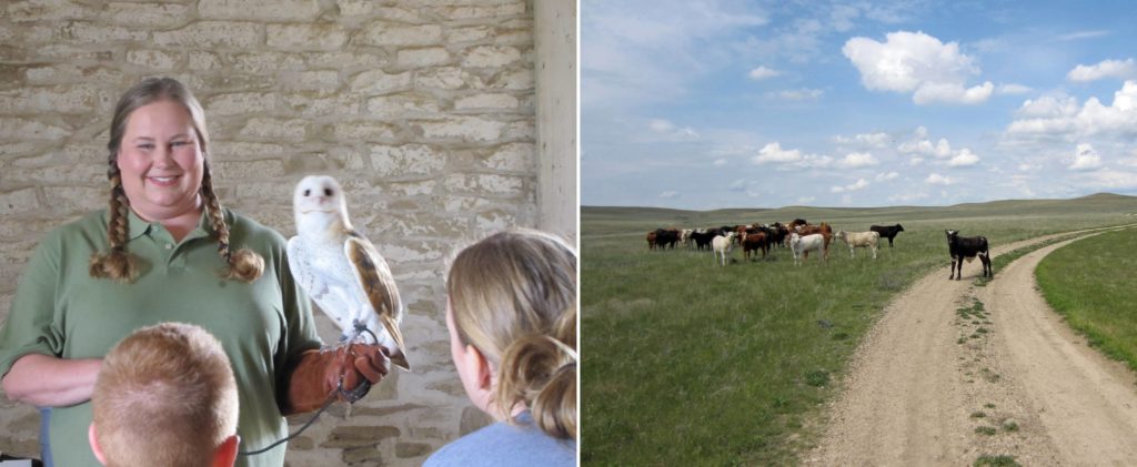 Van Tours, Birds of Prey Program Returns to Tallgrass Prairie National ...