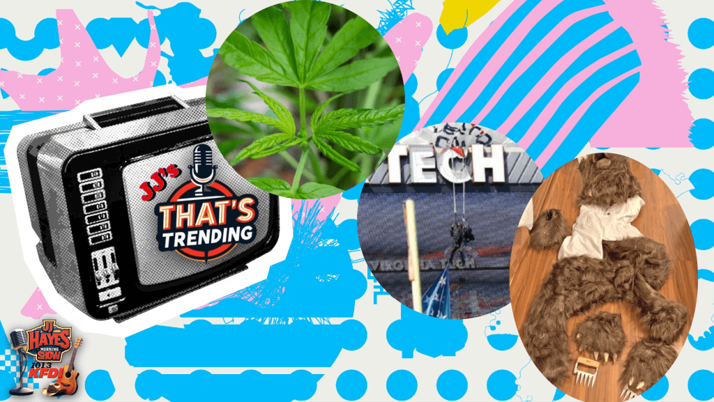 JJ's That's Trending: Cannabis Linked To Lower Brain Volume and More ...