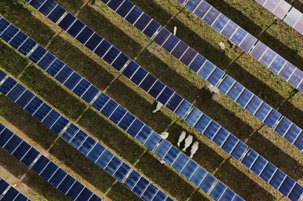 Solar power hits new milestones in the US even as Trump boosts coal ...