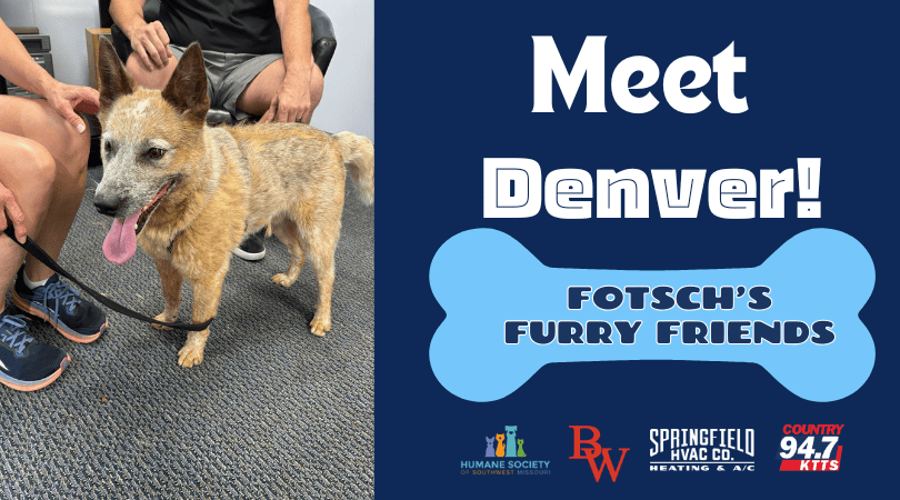 Fotsch's Furry Friends: Denver | 94.7 KTTS