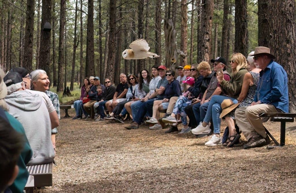 Raptors Return to High Desert Museum | KBNW-AM - Horizon Broadcasting ...