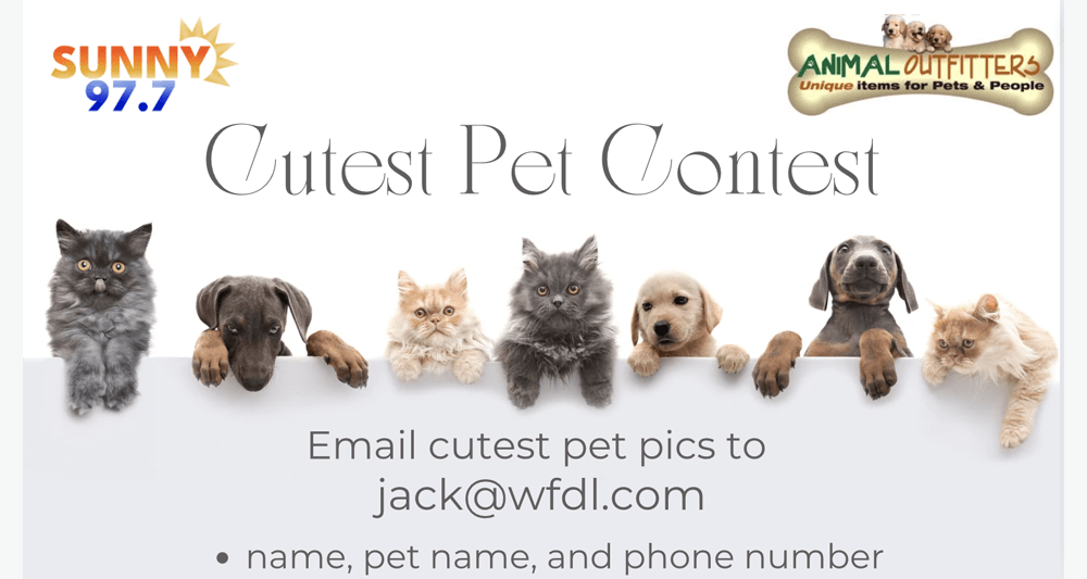 Cutest Pet Contest 2024 | Radio Plus - Part 2