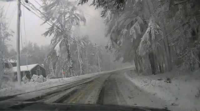 Close call: Video shows Maine police officer narrowly misses getting ...