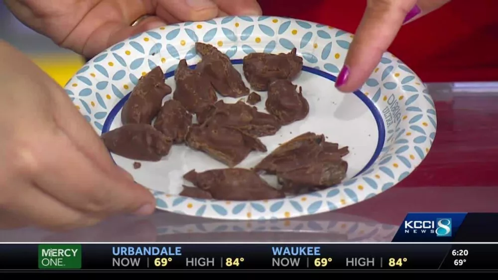 Cicada Licious Yes You Can Eat Cicadas Heres How 98 Rock Online