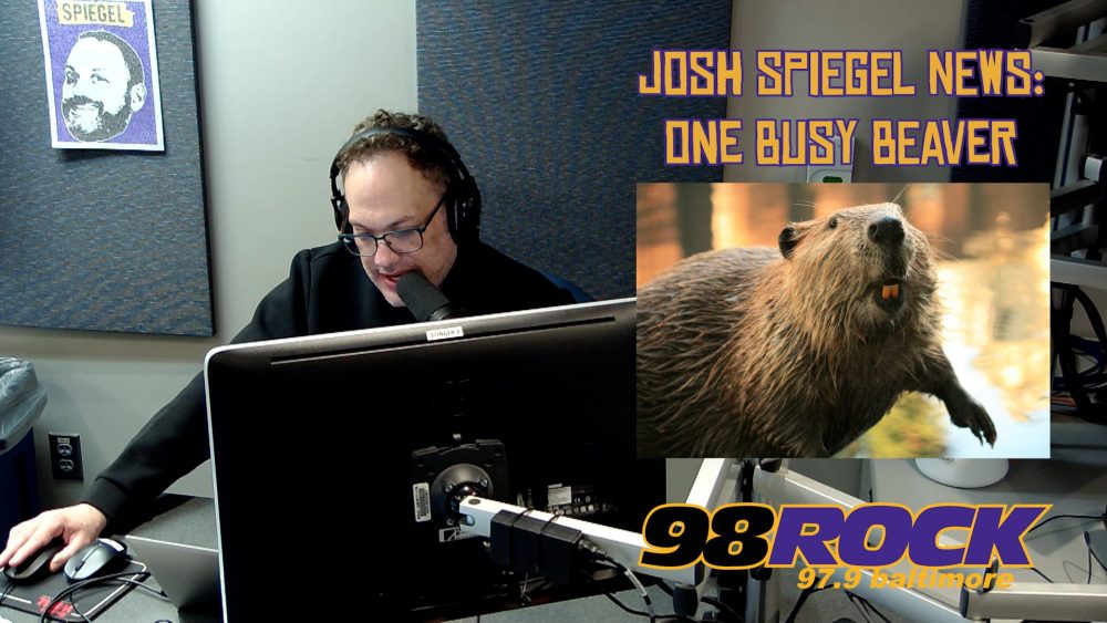 Josh Spiegel News: Police Respond to "Determined Beaver" Crossing the ...