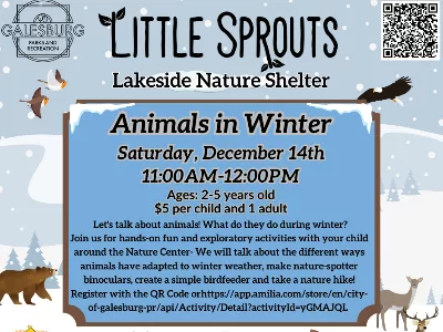 Little Sprouts: Animals in Winter – Country 94.9 FM 95