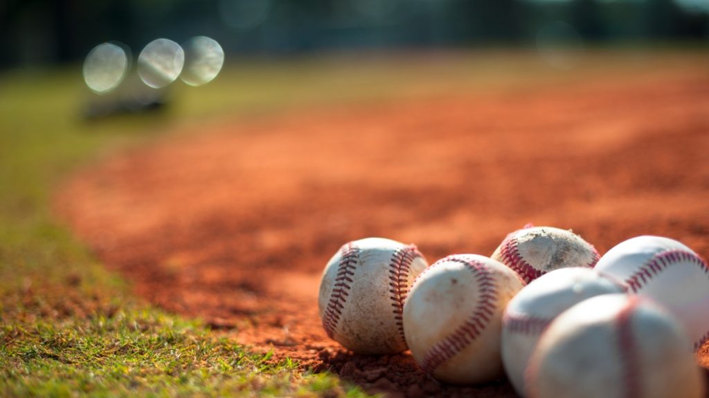 Local Agencies Partner to Bring Miracle Baseball to Individuals with ...