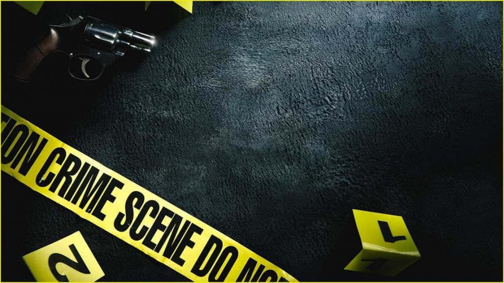 Illinois House Gun Violence Prevention Committee gears up | 101.5 WCIL ...