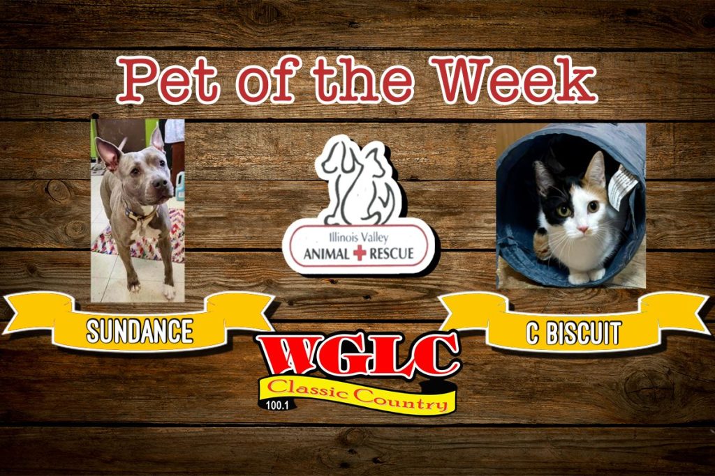 WGLC Pets of the Week: Sundance & C Biscuit! | WGLC Classic Country