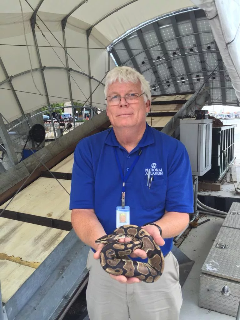 Photos: Python Sneaks Into Inner Harbor Water Wheel | WBAL Baltimore News