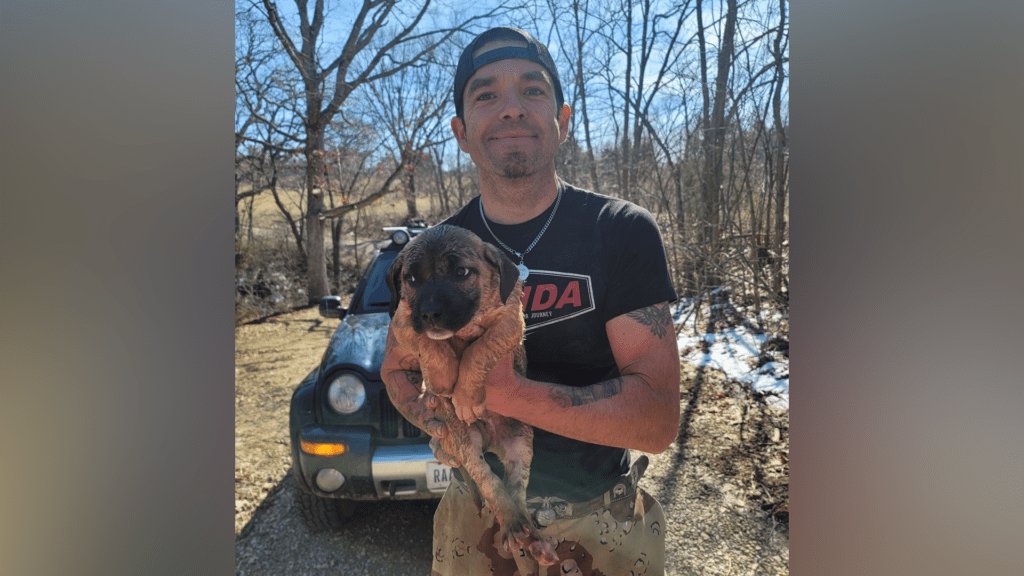 Veteran scales 100 feet down ravine to save trapped puppy | WBAL ...