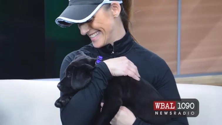 Stacy Talks To Trainer Of WBAL-TV's 'Puppy With A Purpose' | WBAL ...