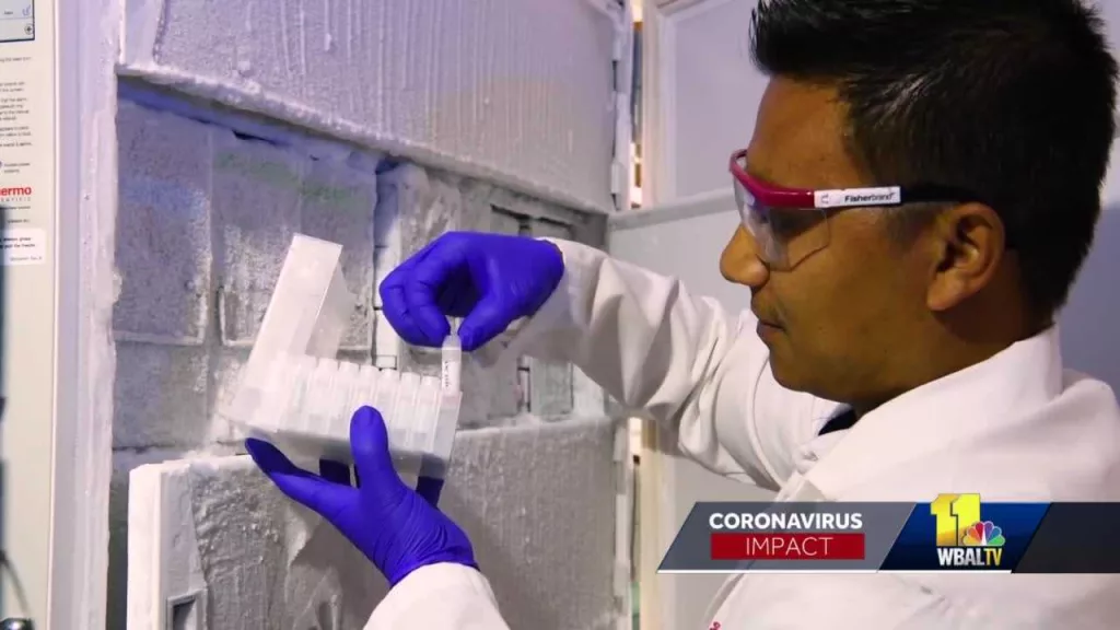 Maryland researchers had hand in Pfizer's vaccine candidate that's ...