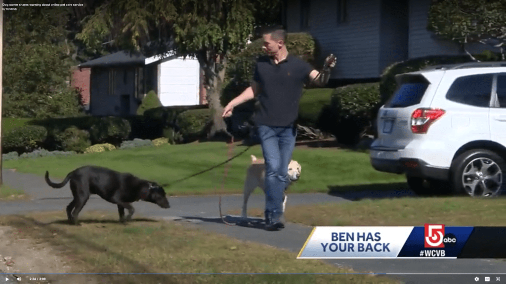 Dog owner shares warning about online pet care service | WBAL Baltimore ...