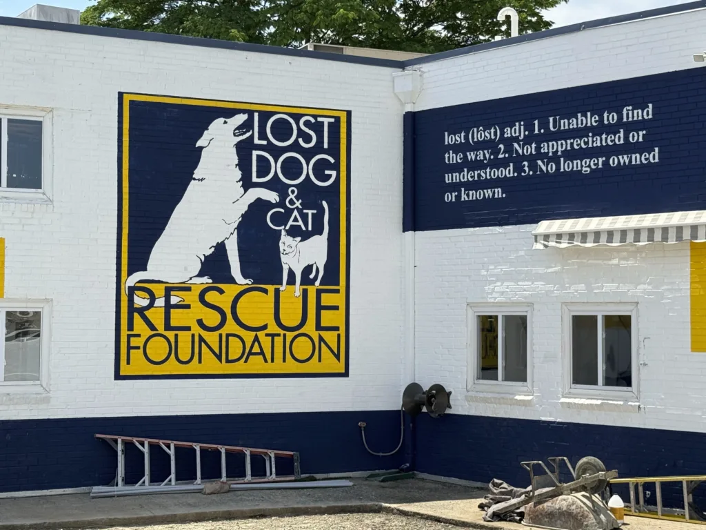 A woman took her dog to a shelter to be euthanized. A year later, the ...