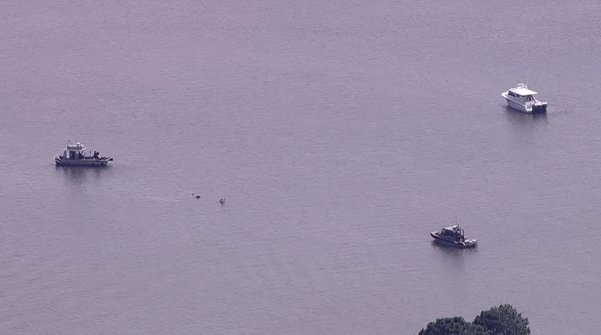 Baltimore County takes in over 100 pets in hoarding case, seeks homes ...