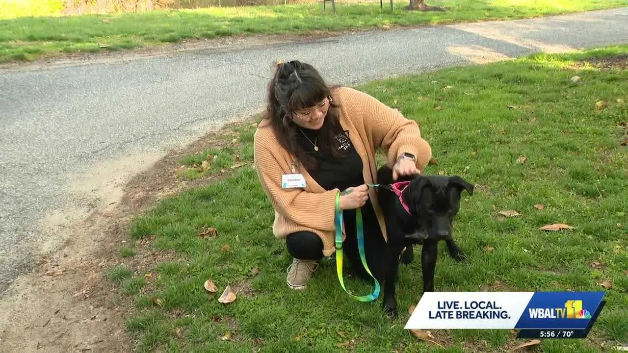 Maryland SPCA to host National Pet Day event in Ellicott City | WBAL ...
