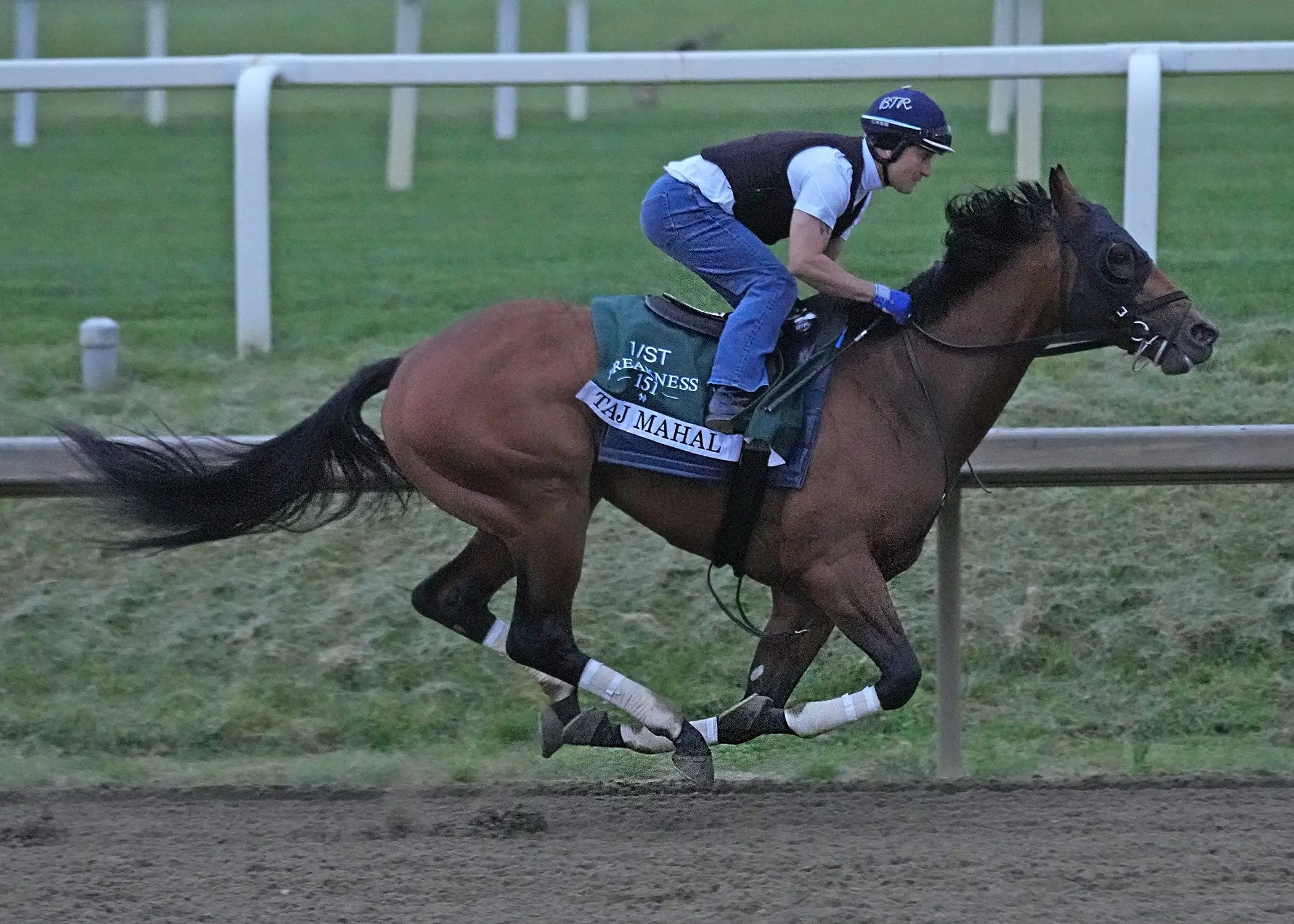 Taj Mahal: Laurel Park's home track Preakness competitor | WBAL ...