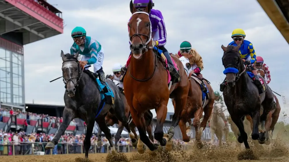 Iron Honor is a slight 9-2 favorite on the morning line for the ...